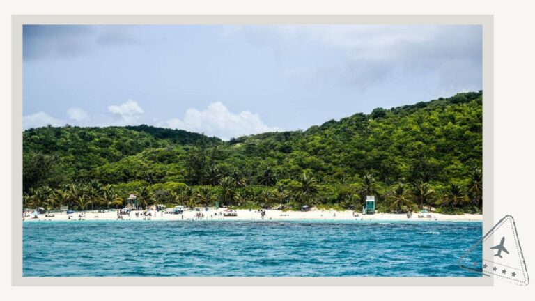 Fantastic Puerto Rico Catamaran Day Trips and Island Tours