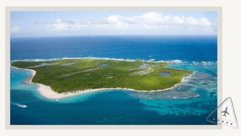 Fantastic Puerto Rico Catamaran Day Trips and Island Tours