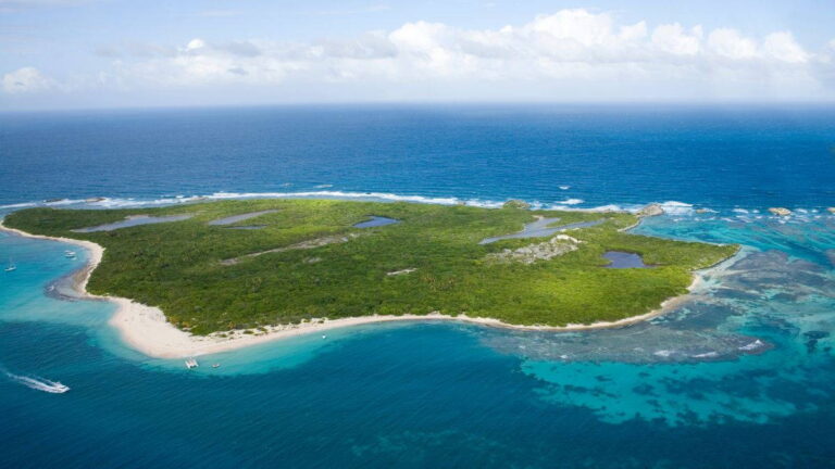 Fantastic Puerto Rico Catamaran Day Trips and Island Tours